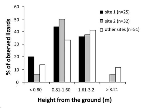 Perpendicular Height M From Ground Of L Conraui Individuals Total N Download Scientific