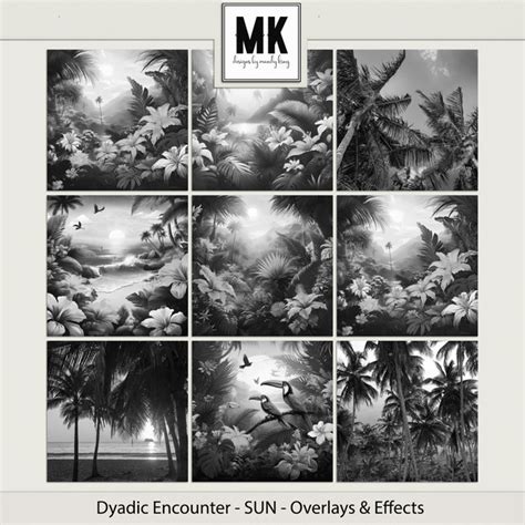 Dyadic Encounter Snow And Sun Double Bundle Digital Art