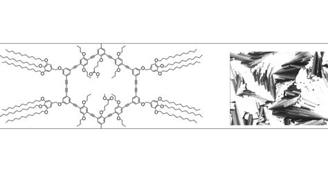 Shape Persistent Macrocycles With Intraannular Polar Groups Synthesis Liquid Crystallinity
