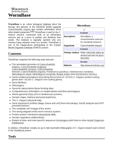 Worm Base Pdf Biochemistry Chemistry