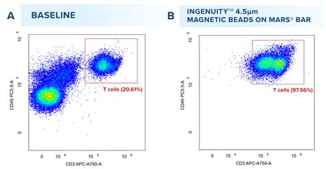Cd3 Cd28 T Cell Isolation Applied Cells