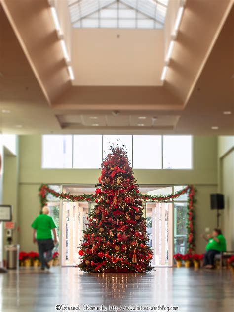 Wordless Wednesday Christmas Festival Bittersweet