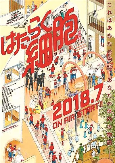 《工作细胞》：细胞拟人化讲我们自身的故事凤凰网陕西凤凰网