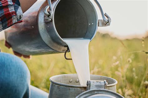 Is Raw Milk Safe To Drink