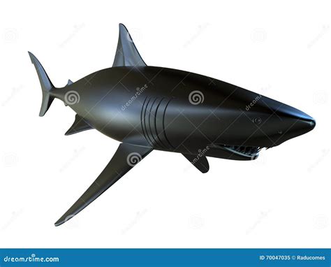 Great White Shark Stock Illustration Illustration Of Danger 70047035