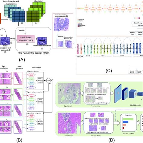Some Typical Models Of Disease Classification Based On Breast