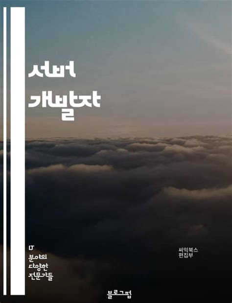 서버 개발자 웹 서버 데이터베이스 네트워크 프로그래밍 클라우드 컴퓨팅 보안 성능 최적화 프레임워크 Api 개발
