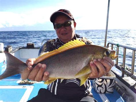 美食巷仔內／肉質鮮甜「黃雞魚」 清蒸、紅燒滋味都絕妙 地方 Nownews今日新聞