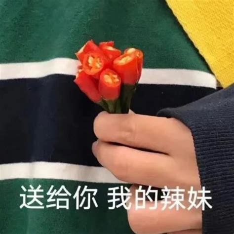 有哪些沙雕不容易撞的网名 知乎