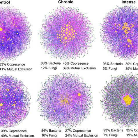 Combined Bacterial And Fungal Species Co‐occurrence Networks For All Download Scientific