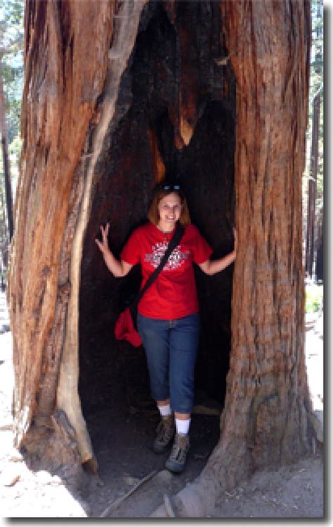 Stacey Fleenor Arizona Space Grant Consortium