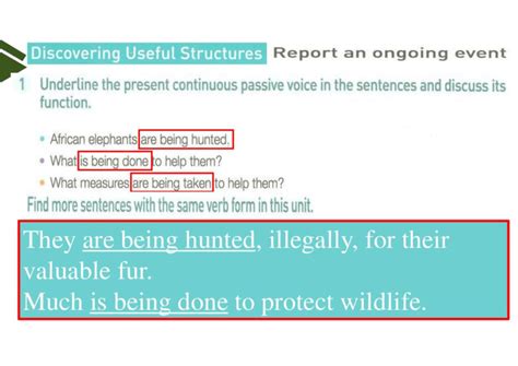 人教版2019 必修第二册Unit 2 Wildlife protection Discovering useful structures