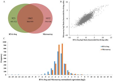 Schematic View Of Data From Rna Seq And Microarrays A Venn Diagram
