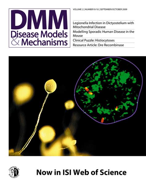 Dre Recombinase Like Cre Is A Highly Efficient Site Specific Recombinase In E Coli Mammalian