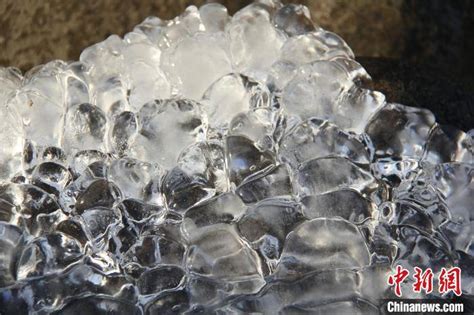 苏州持续低温创记录 太湖边“冰花”绽放 搜狐大视野 搜狐新闻