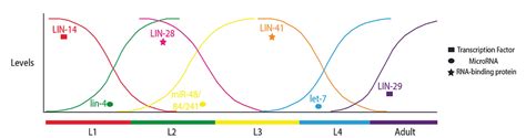 Research Sun Lab