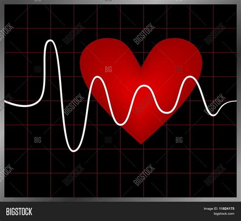 Heart Heartbeat Vector And Photo Free Trial Bigstock