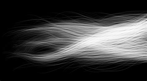 Hair Texture Map Hair Texture Map