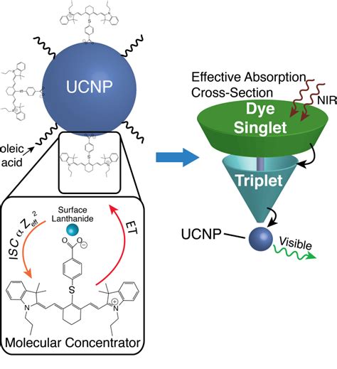 Upconverting Nanoparticles Fundamental Properties And Applications Schuck Lab