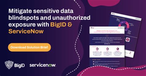 How To Automate Data Classification For Servicenow Bigid