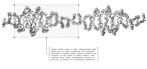 Temporal Formalization