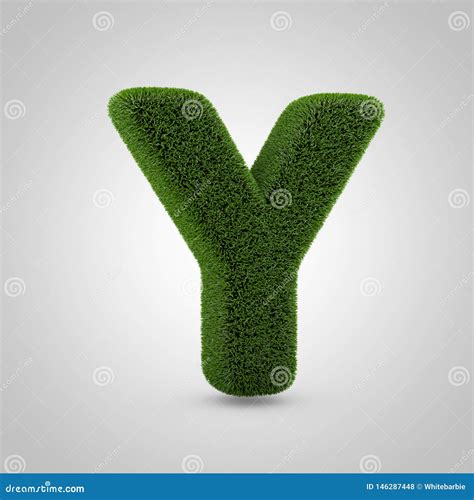Letra May Scula Z Del Musgo Verde Aislada En El Fondo Blanco Stock De