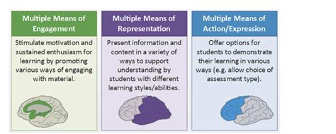 Principles Of Universal Design For Learning Include Multiple Means Of At Michele Thomas Blog