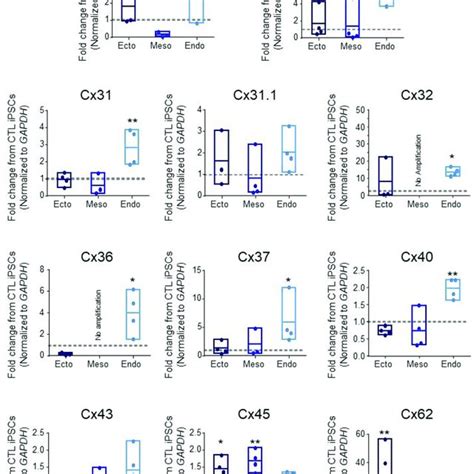 Connexin Mrna Expression During Human Ipsc Lineage Specification Download Scientific Diagram
