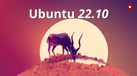 Things To Do After Installing Ubuntu With Bonus Tip