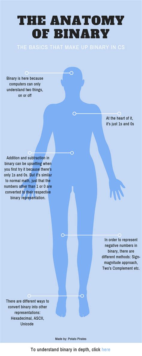 Fundamentals Of Binary Rinfographics