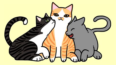 강아지 고양이 합사 사이좋게 키우는 방법은 비마이펫 라이프