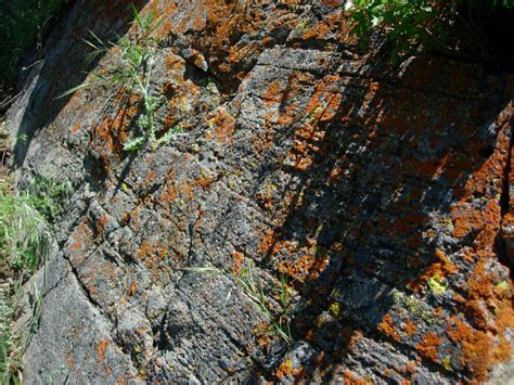 PorOgle Blogspot SUTTER BUTTES CENTRAL VALLEY CA Is An