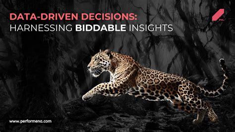 Data Driven Decisions Harnessing Biddable Insights