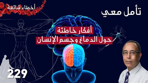 سبعة أفكار خاطئة حول الدماغ والجسم Youtube