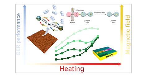 Magnetic Field Enhanced Oxygen Evolution Reaction Via The Tuneability