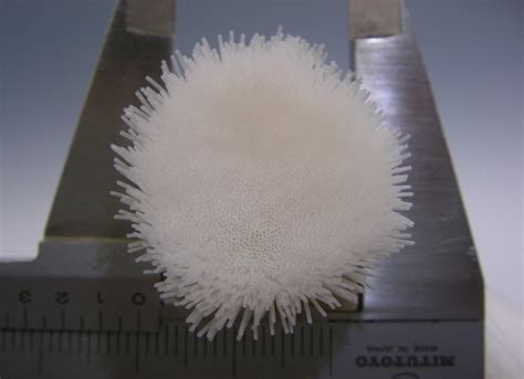Hollow Fiber - NAGAYANAGI
