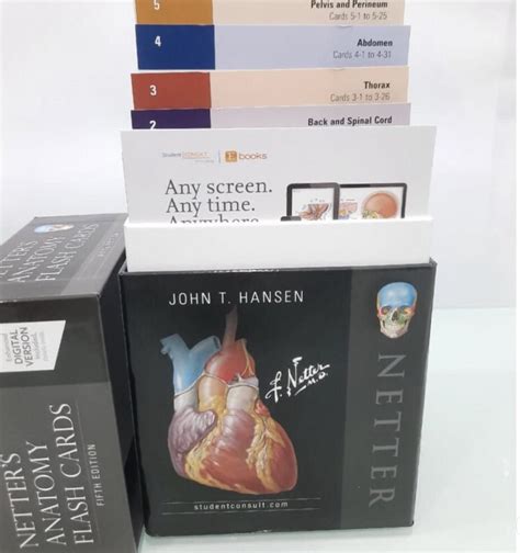 Netters Anatomy Flash Cards Review At Elmer Holt Blog