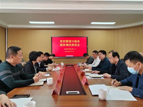 新闻网新版