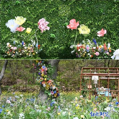 2024 화순 고인돌 봄꽃 축제 미리 떠나는 봄소풍 화순저널