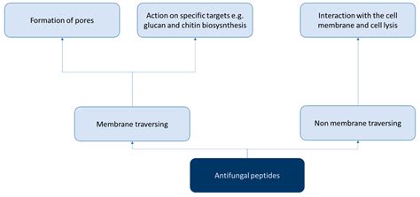 Bioinformatics Approaches Applied To The Discovery Of Antifungal Peptides