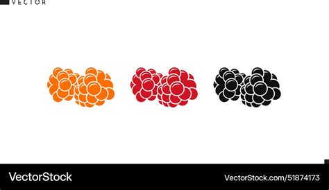 Yellow Red And Black Raspberries Royalty Free Vector Image