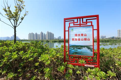广西新增40个生态环境宣传教育实践基地 区内要闻 广西壮族自治区生态环境厅网站
