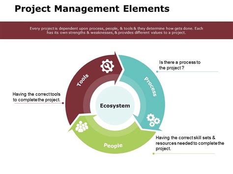 Project Management Elements Ppt Powerpoint Presentation Gallery