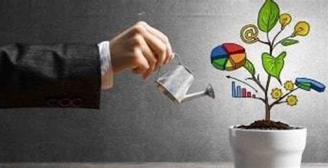 30 Future Business Ideas In India For 2025 2030 2050 And Beyond