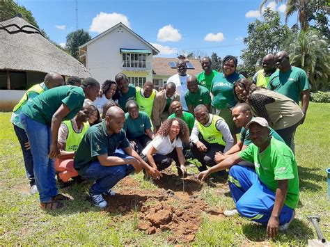 GOAL Staff Contribute To Better Environment By Planting Trees In