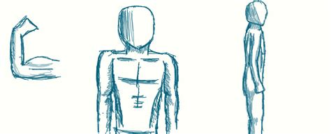 Male Anatomy Practice By Askmarceline Abadeer On Deviantart