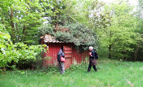 Travetur Ved Kielstrup S Og Skoven Ved L Vdal Mariagerfjord
