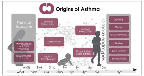Asthma History Timeline At Layla Ruse Blog