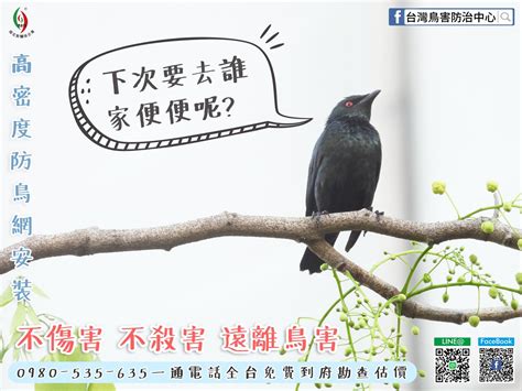 台灣野鳥🐦🐦非常多 常常會在各家陽台冷氣機上築巢😫😫 台灣鳥害防治中心（一通電話全台服務）