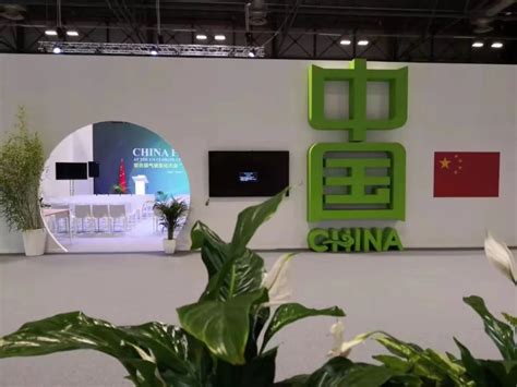征途漫漫，前路可期：联合国气候变化马德里会议述评